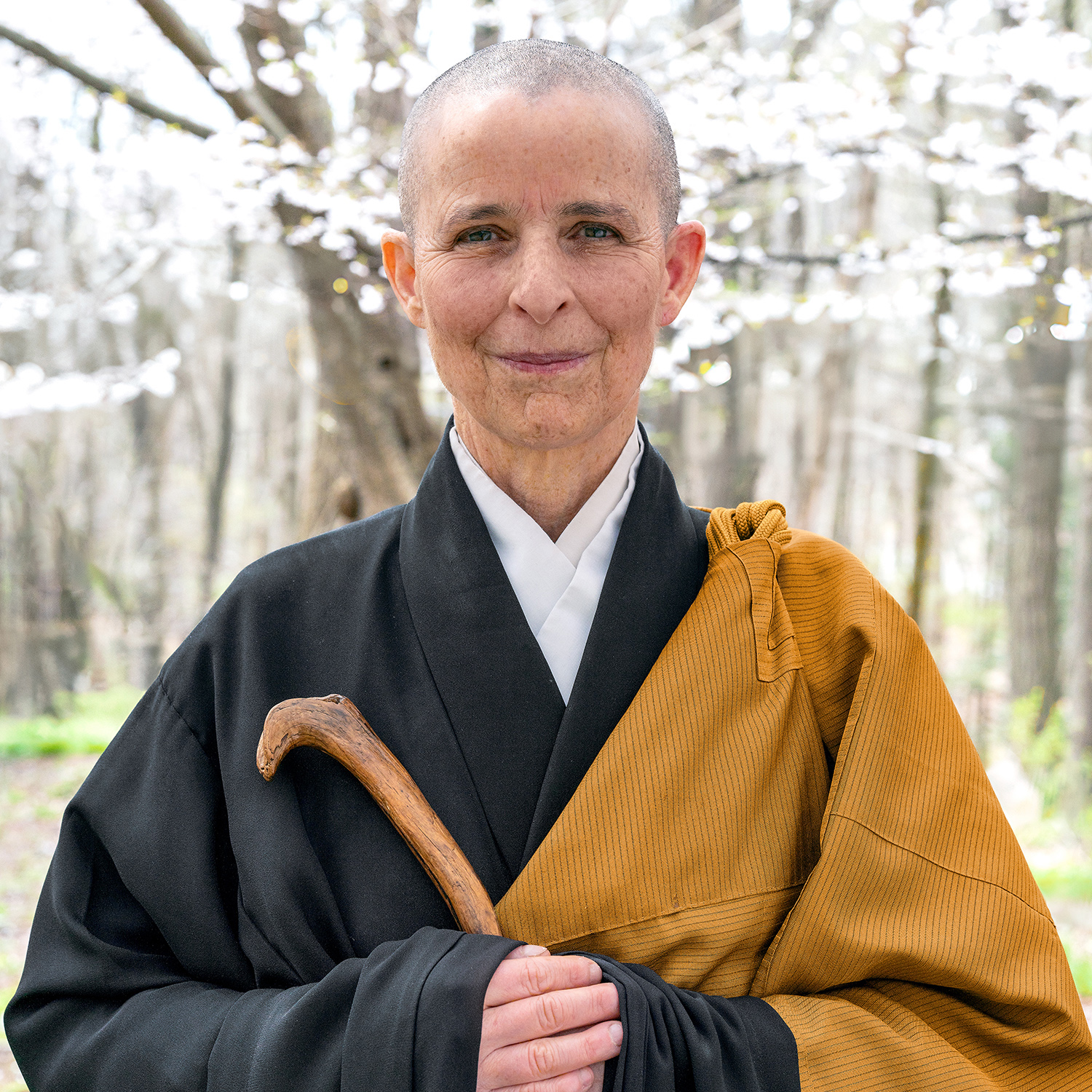 Zen Mountain Monastery • Retreat Teachers