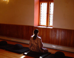 Introduction to Zen Training Weekend | Zen Mountain Monastery